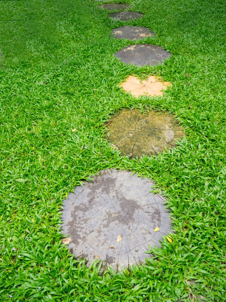Stone walkway on green grass floor — Stock Photo © aaa187 #115335796