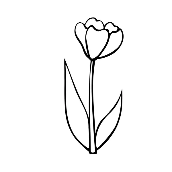 100,000 Stamen Vector Images | Depositphotos