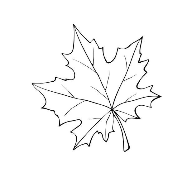 100,000 Lonely maple Vector Images | Depositphotos