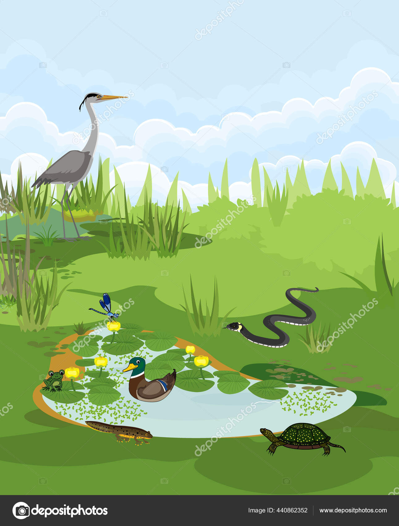 Freshwater Wetland Animals