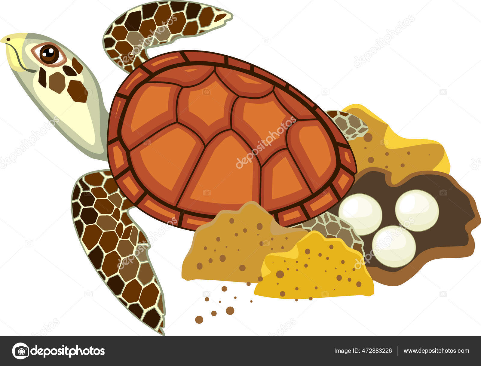 Baby Sea Turtle Hatching Clipart