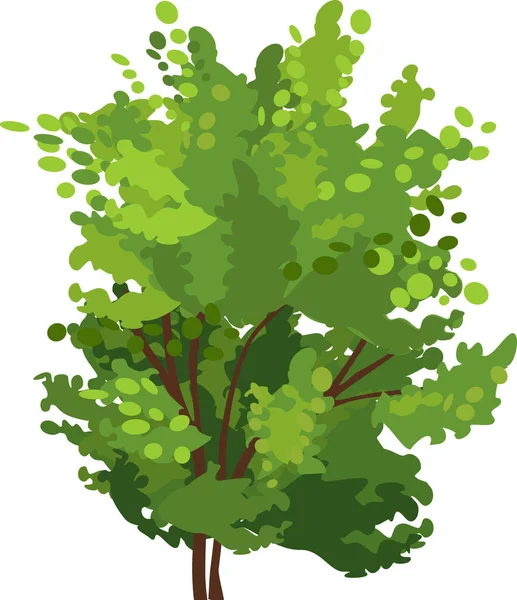 100,000 Bay tree Vector Images | Depositphotos