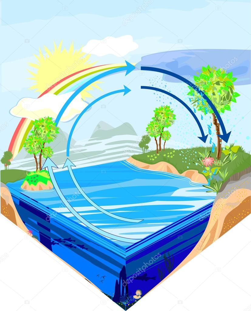 Water Cycle In Nature