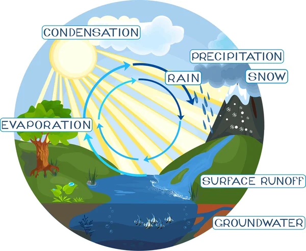 Groundwater Cycle Animation