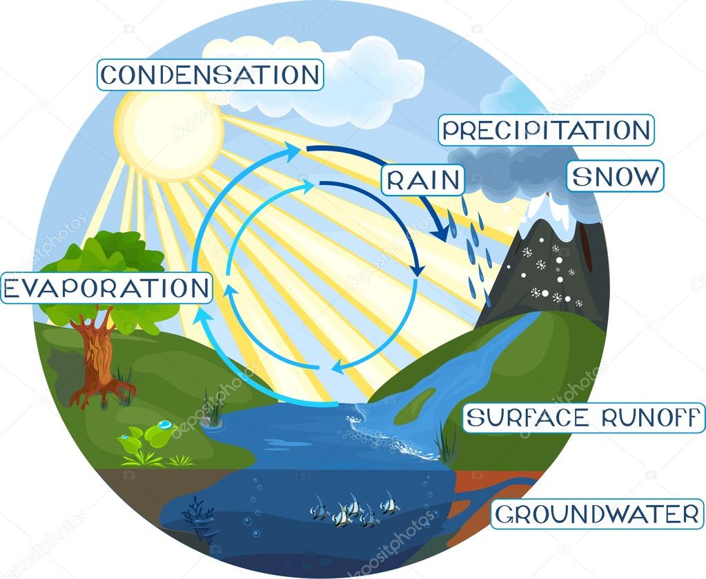 Water Cycle Precipitation