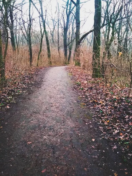 Kalandozásai Stock Photos, Royalty Free Kalandozásai Images | Depositphotos