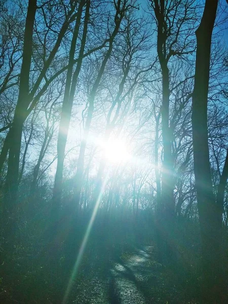 Sun sunny branch road Stock Photos, Royalty Free Sun sunny branch road ...