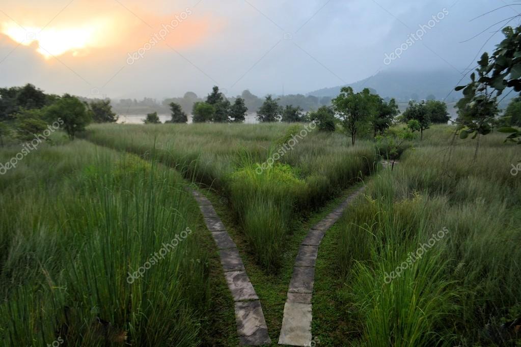 Path splits two directions, fork in the road — Stock Photo © flocutus ...
