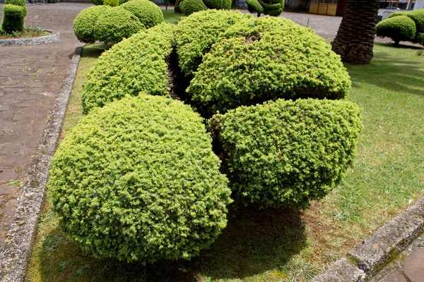 Jardin de bowling Stock Photos, Royalty Free Jardin de bowling Images ...