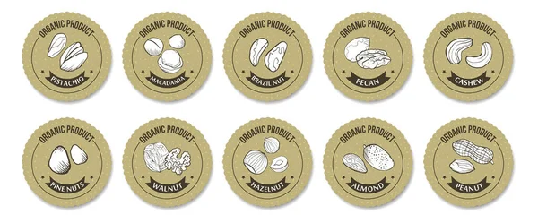 Packaging Label Nuts Vector Set Stickers Craft Paper Sketch Colored ...