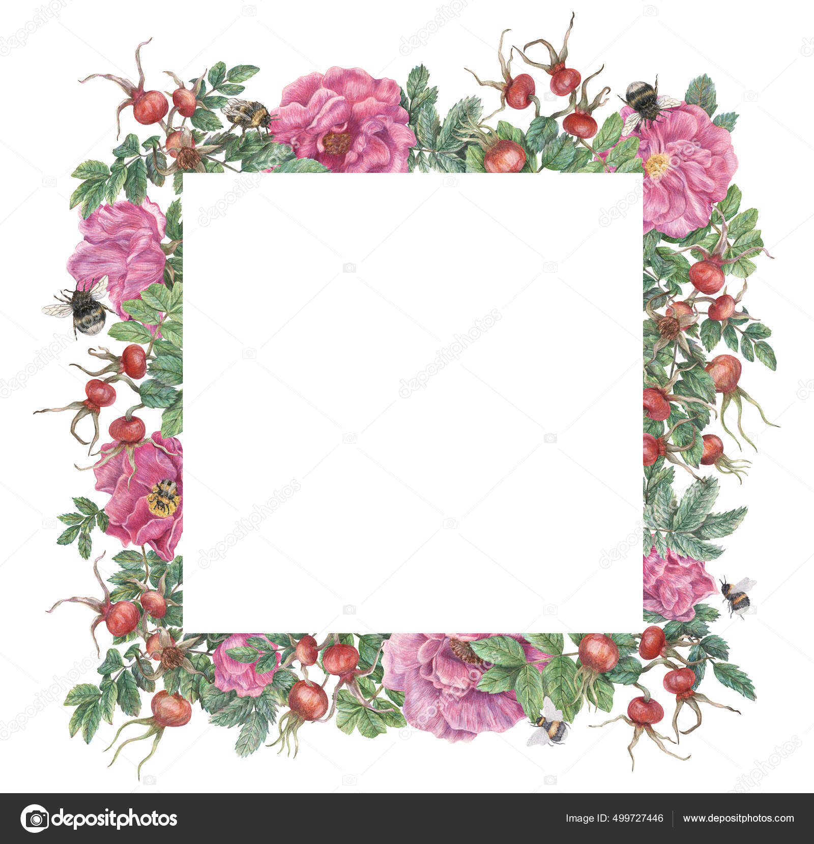 Square Flower Borders