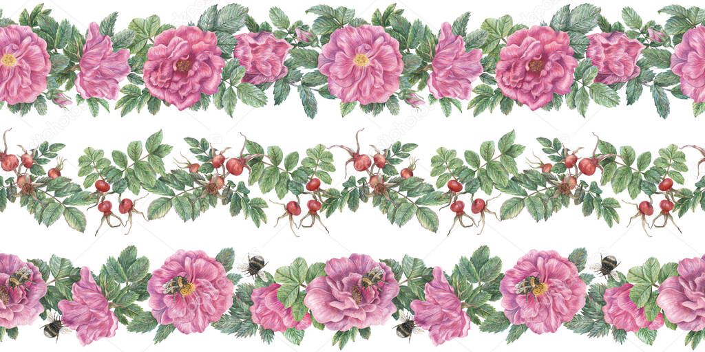 Conjunto de bordes sin costura dibujados a mano con flores y ...