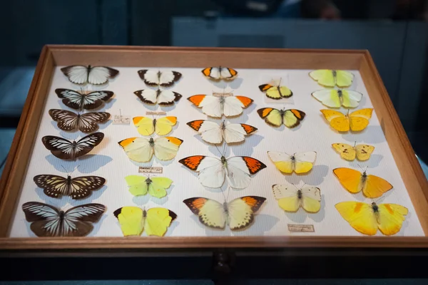 Color theory Images - Search Images on Everypixel