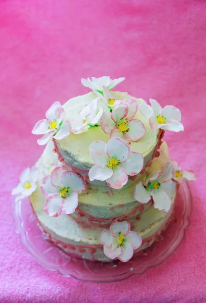 Small spring cake Stock Photos, Royalty Free Small spring cake Images ...