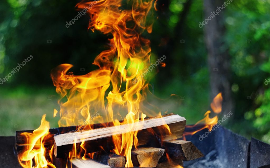 Fire, flames from wood ember for grill or bbq picnic, fume and firewood ...