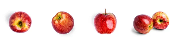 Apple growth stages Stock Photos, Royalty Free Apple growth stages ...