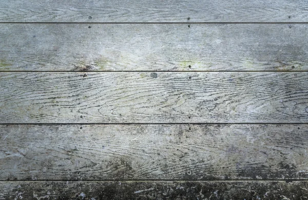 Black iron gothic doors — Stock Photo © sumners #3081541