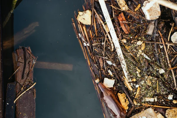 Polluted water florida Stock Photos, Royalty Free Polluted water ...