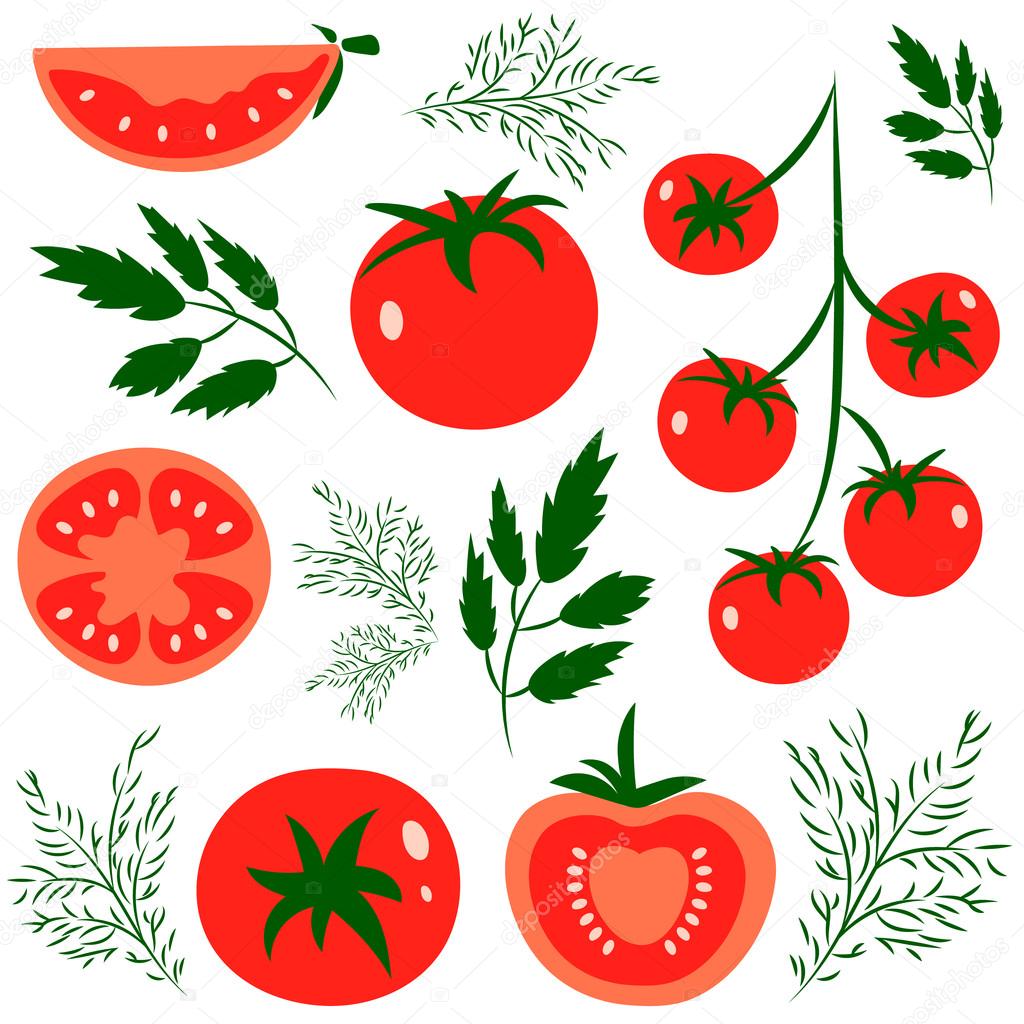 Tomatoes Stock Vector Image by ©lusy88 #81519926
