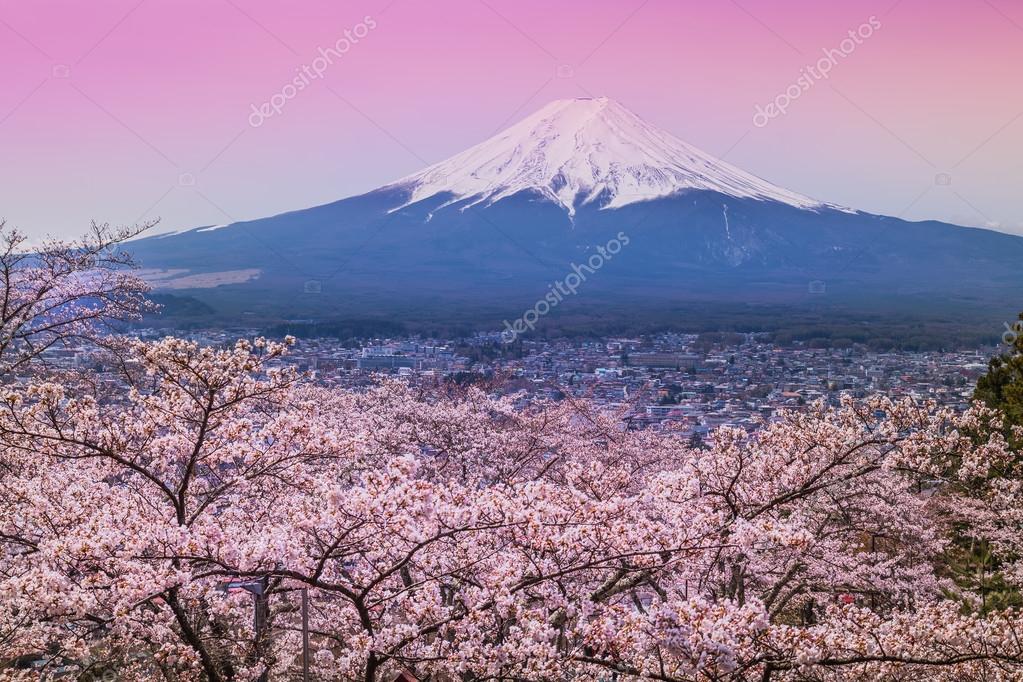 Mountain Fuji in spring ,Cherry blossom Sakura ⬇ Stock Photo, Image by ...