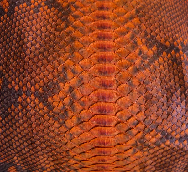 Black snake texture Stock Photos, Royalty Free Black snake texture ...