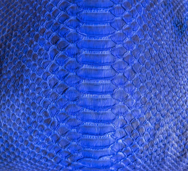 Snakeskin Stock Photos, Royalty Free Snakeskin Images | Depositphotos