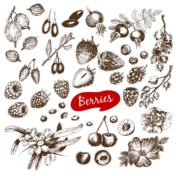 1,116 illustrations de Baies bouquet | Depositphotos