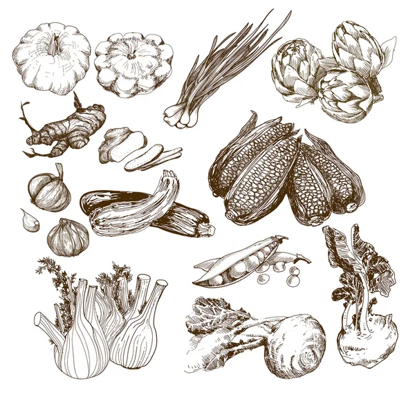 Vegetables collection Vector Art Stock Images | Depositphotos