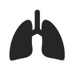 Lungs line icon. Human internal organ outline style pictogram on white ...