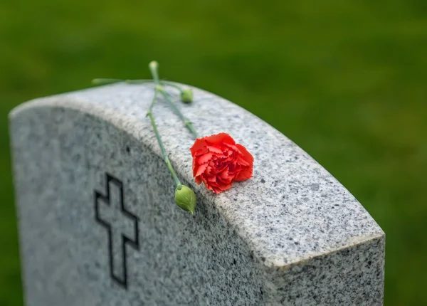 Rose on grave Stock Photos, Royalty Free Rose on grave Images ...