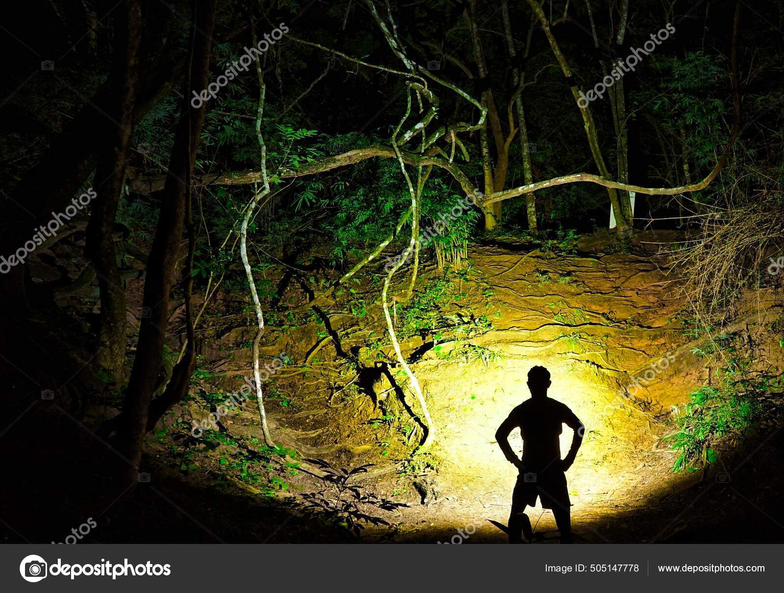 Flashlight In The Woods