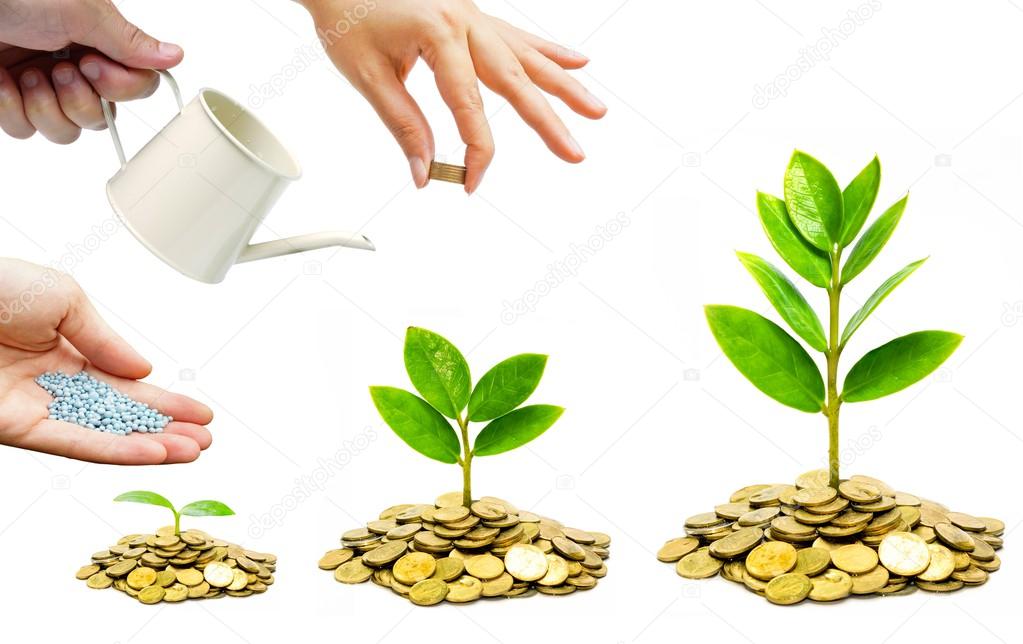 Hands helping planting trees growing — Stock Photo © weerapat #62970605
