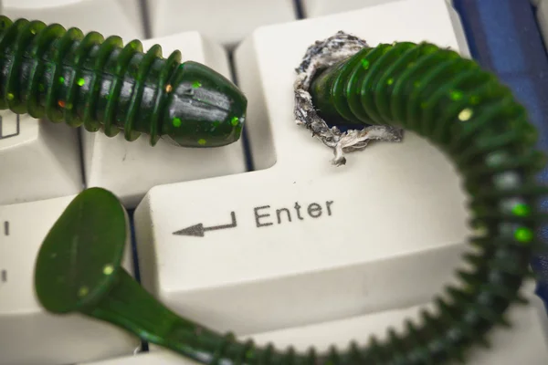 Computer worms Stock Photos, Royalty Free Computer worms Images ...