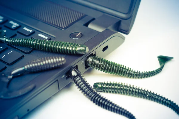 Computer worms Stock Photos, Royalty Free Computer worms Images ...