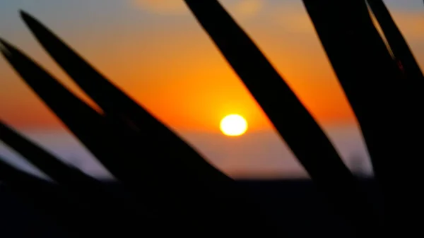 Gün batımı arkadan aydınlatmalı Fotografii din stoc | Gün batımı ...