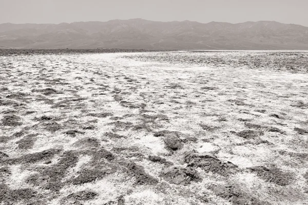 Zout veld Stock Photos, Royalty Free Zout veld Images | Depositphotos