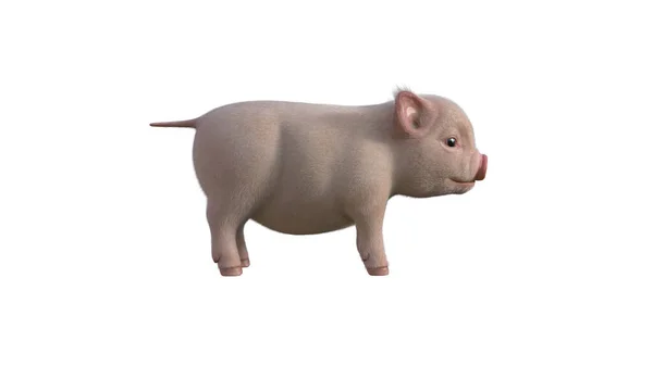 Piglet icon Stock Photos, Royalty Free Piglet icon Images | Depositphotos