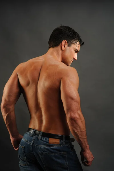 Alpha male Stock Photos, Royalty Free Alpha male Images | Depositphotos