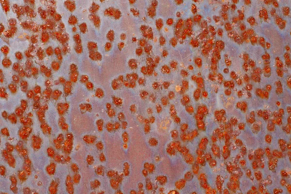 Staining of cells Stock Photos, Royalty Free Staining of cells Images ...