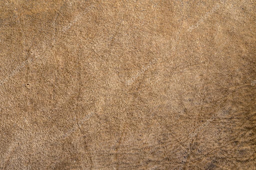 Brown Suede Texture