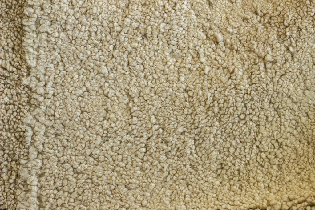 Sheepskin background texture Stock Photo by ©paulmalaianu 69088909