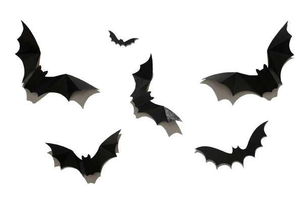Transparent Bats Tumblr