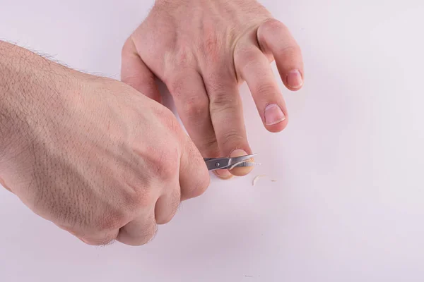 Hand cut Images - Search Images on Everypixel