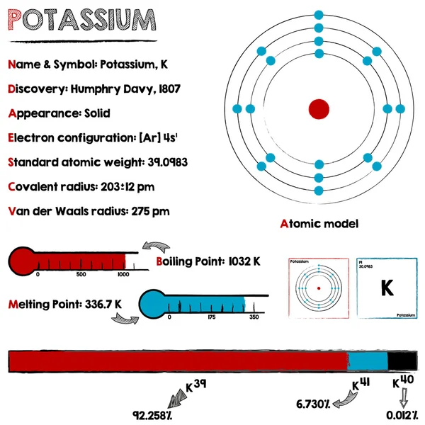 Potassium Model