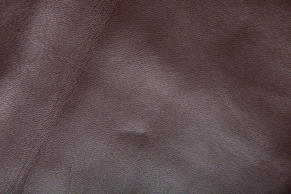 Old light leather — Stock Photo © sandr2002 #54616013