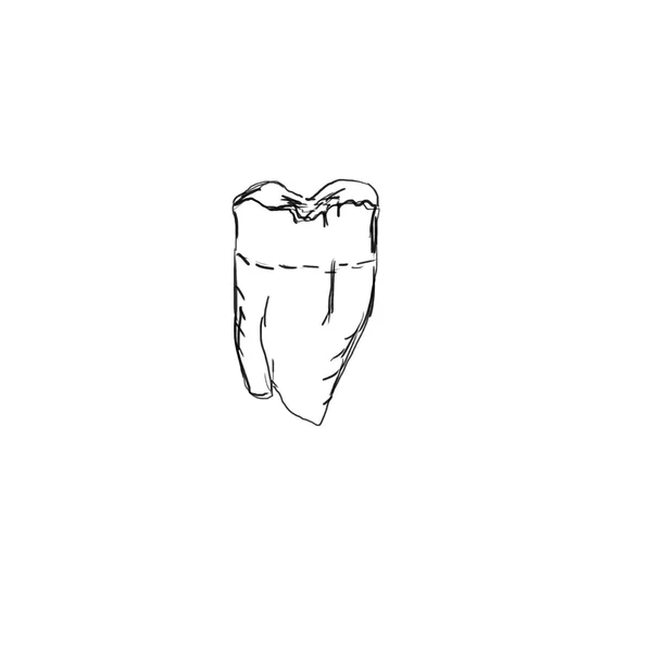 Wisdom Tooth Drawing