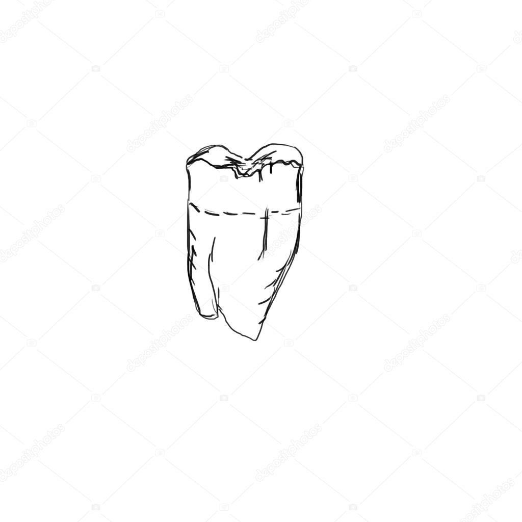 White wisdom tooth Stock Illustration by ©sandr2002 #85702004