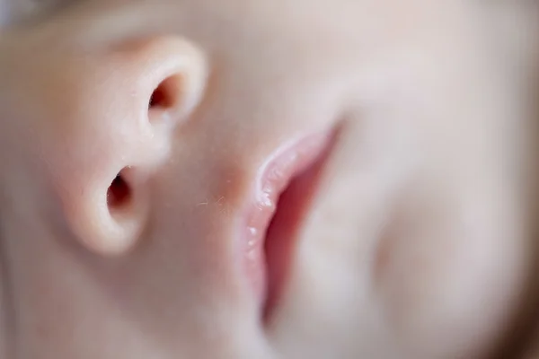 Close up of baby nose Stock Photos, Royalty Free Close up of baby nose ...