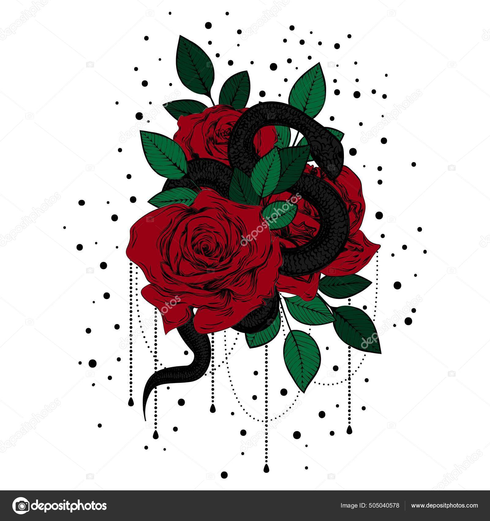 Bouquet Roses Snake Colored Botanical Line Art Illustration Sketch ...