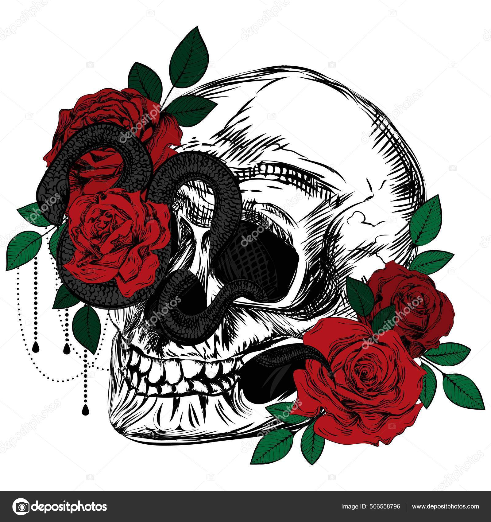 Skull And Snake And Roses Drawings